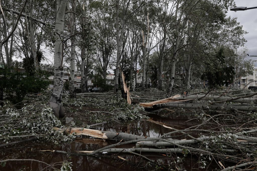 Χαλκιδική: Εικόνες καταστροφής από τη φονική θεομηνία | in.gr