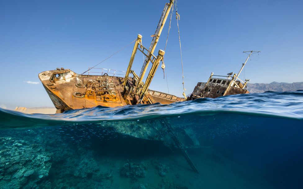 Εντυπωσιακά «κλικ» στις καλύτερες υποβρύχιες φωτογραφίες του 2020 | in.gr
