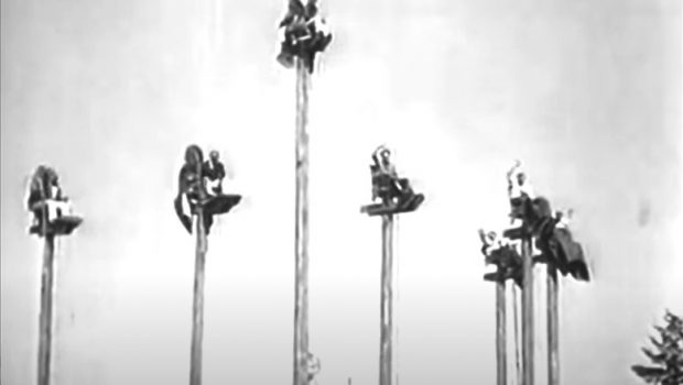 Alvin Kelly: Ο άνθρωπος που καθόταν στα ψηλότερα κοντάρια | in.gr