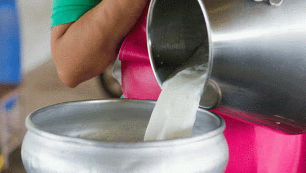 iMilk-Elgo: Τι φέρνει η νέα εφαρμογή για το γάλα | in.gr