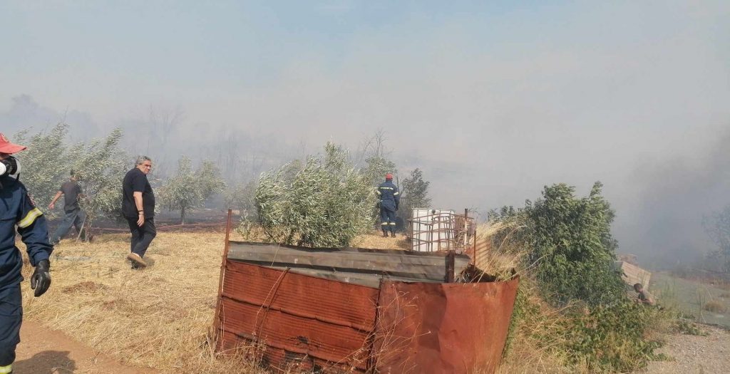 Φωτιά στο Κοντοδεσπότι Εύβοιας: Νέο μέτωπο - Σηκώθηκαν και εναέρια ...