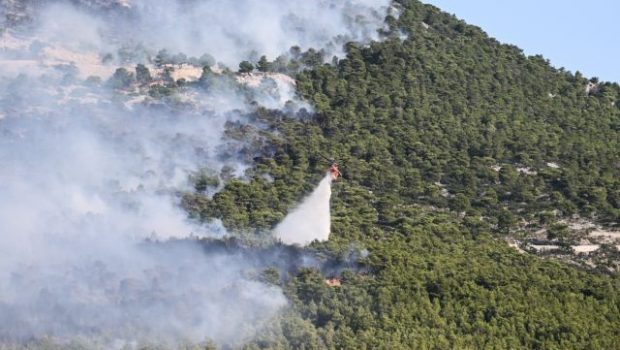 Φωτιές: Η εικόνα σε Πάρνηθα, Εβρο, Βοιωτία - Πού έχει αναζωπυρώσεις | in.gr