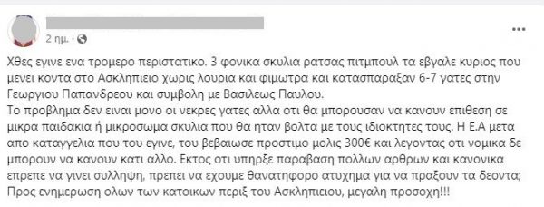 Βούλα: Αφήνει ανεξέλεγκτα τρία πίτμπουλ και κατασπαράσσουν γάτες ...
