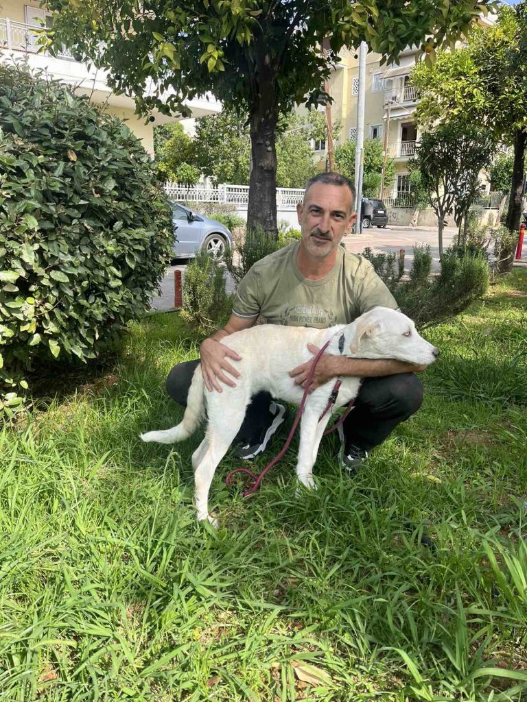 Σκύλος: Πώς καταλαβαίνει ότι γυρίζετε σπίτι; | in.gr