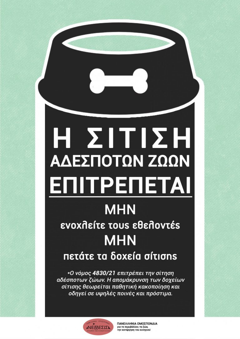 Ταΐζετε αδέσποτα ζώα; Ποιες είναι οι υποχρεώσεις σας και πότε ...