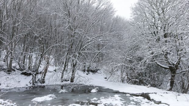 Κακοκαιρία Avgi: Πώς θα κινηθεί ο χιονιάς τις επόμενες ώρες | in.gr