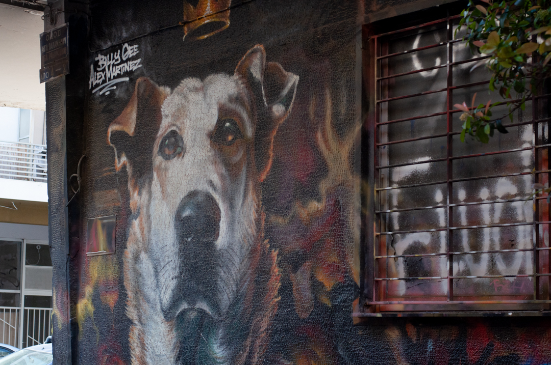 Τα εντυπωσιακά γκράφιτι της Αθήνας (Μέρος Β') | in.gr