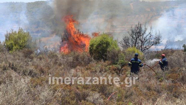 Ζάκυνθος: Υπό έλεγχο η πυρκαγιά στον Αγαλά | in.gr