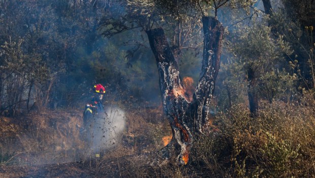 Χίος: Σχεδόν 600 πυροσβέστες παλεύουν με την φωτιά | in.gr
