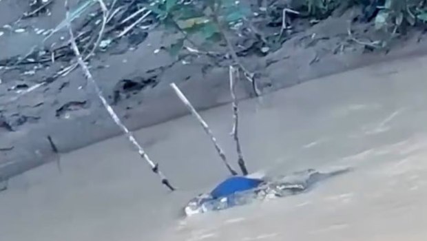 Ινδονησία: Φρικτός θάνατος για 15χρονο αγόρι - Τον άρπαξε κροκόδειλος ...