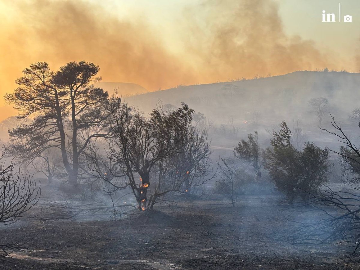 Ο φόβος, η αγωνία και η μάχη με τις φλόγες σε Ανάβυσσο, Κερατέα ...