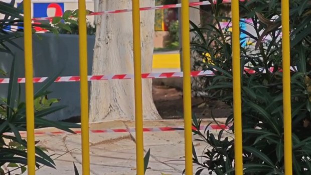 Τραγωδία σε ειδικό σχολείο στον Πειραιά: Νεκρή 13χρονη - Πνίγηκε από ...