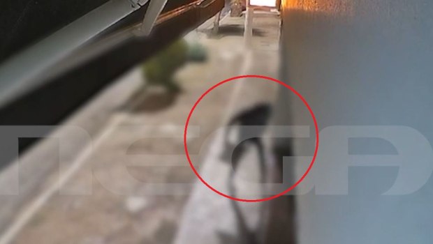 Περιστέρι: Θρασύτατοι διαρρήκτες ρήμαξαν καταστήματα και οχήματα μέσα ...